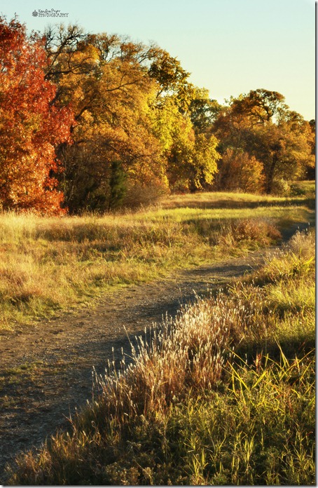 Festive fall weekend plans! / Create / Enjoy